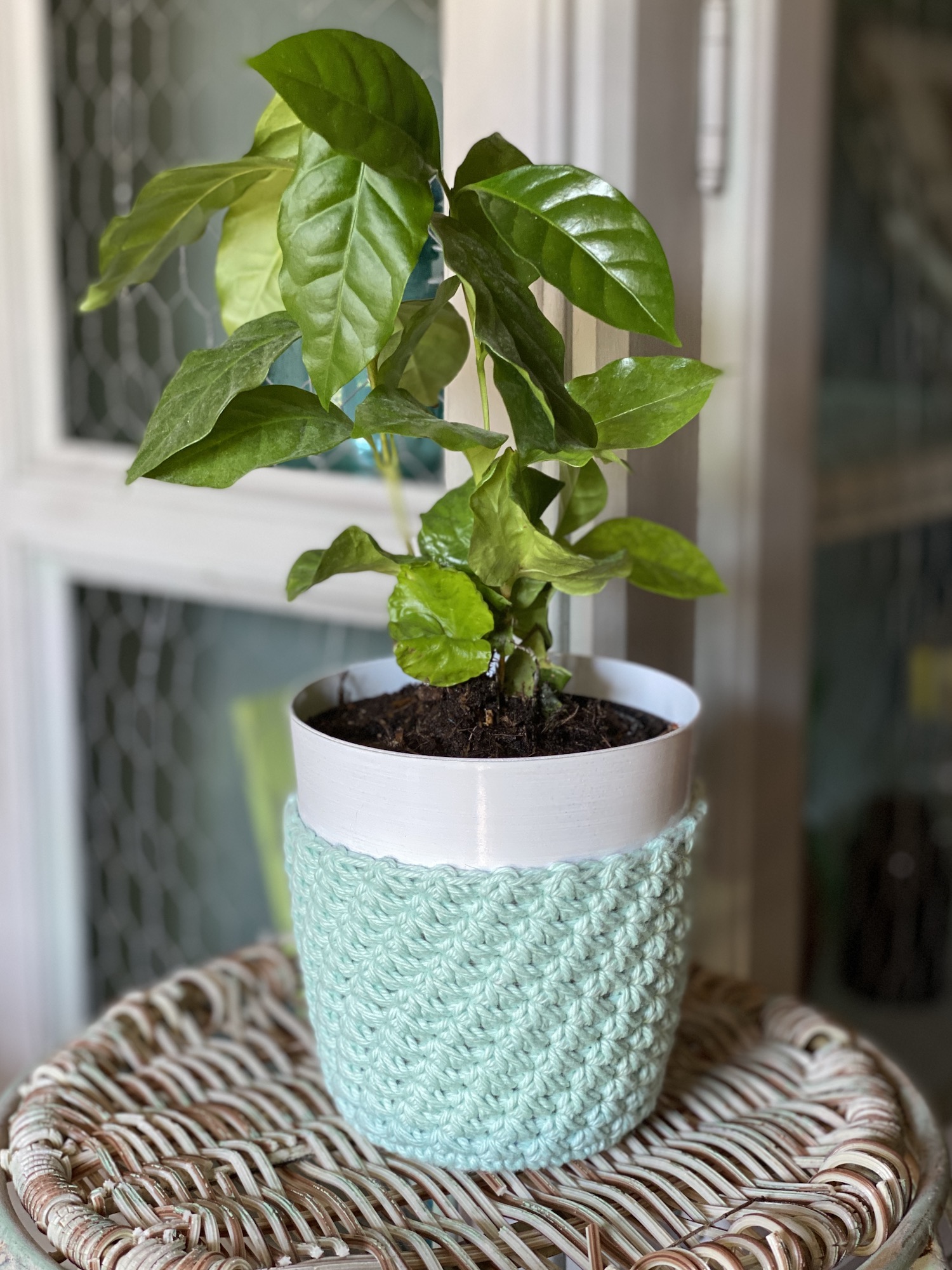 Complete Guide for Eyecatching Crochet Plant Patterns (free) - Little ...